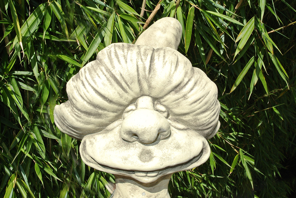Magic Mushroom Edgar